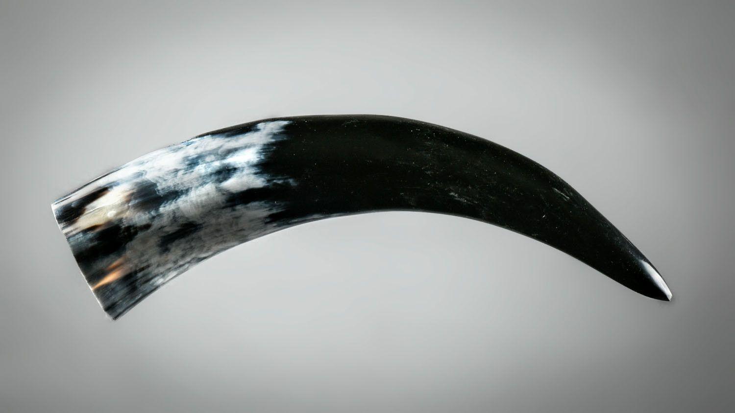 Zébu - manches, bloc, cornes entières pour couteaux