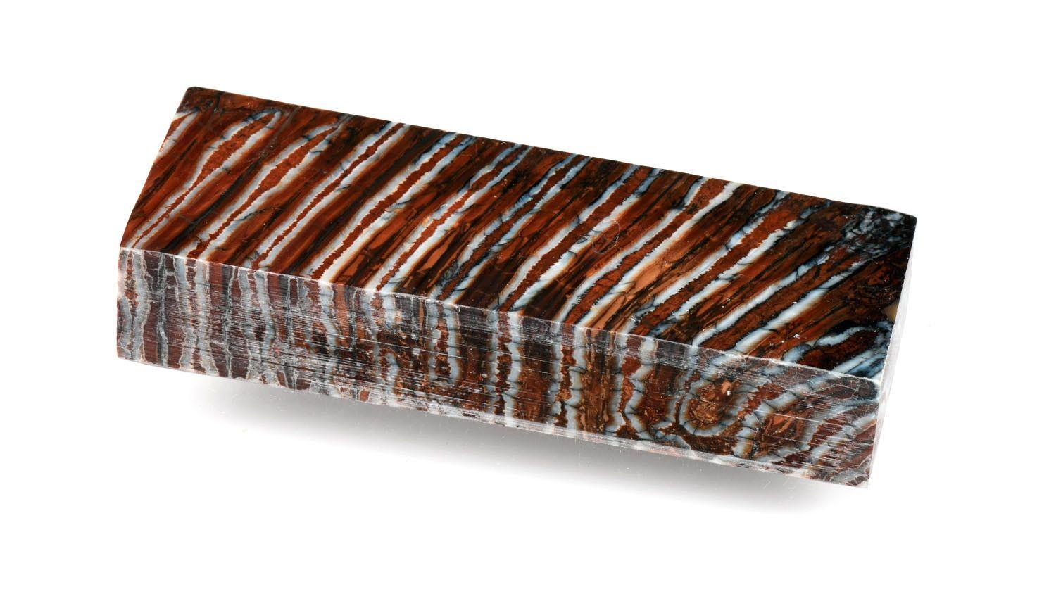 Stabilized and stained fossil mammoth molars