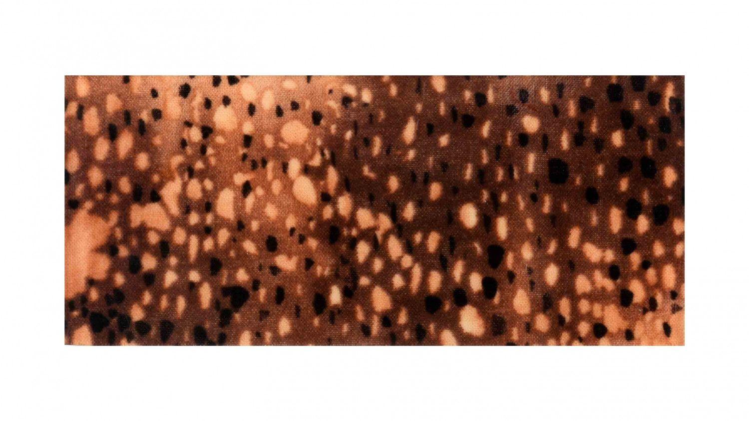 Plate inclusion fish skins (multicolor) - beige background Colour BROWN ...