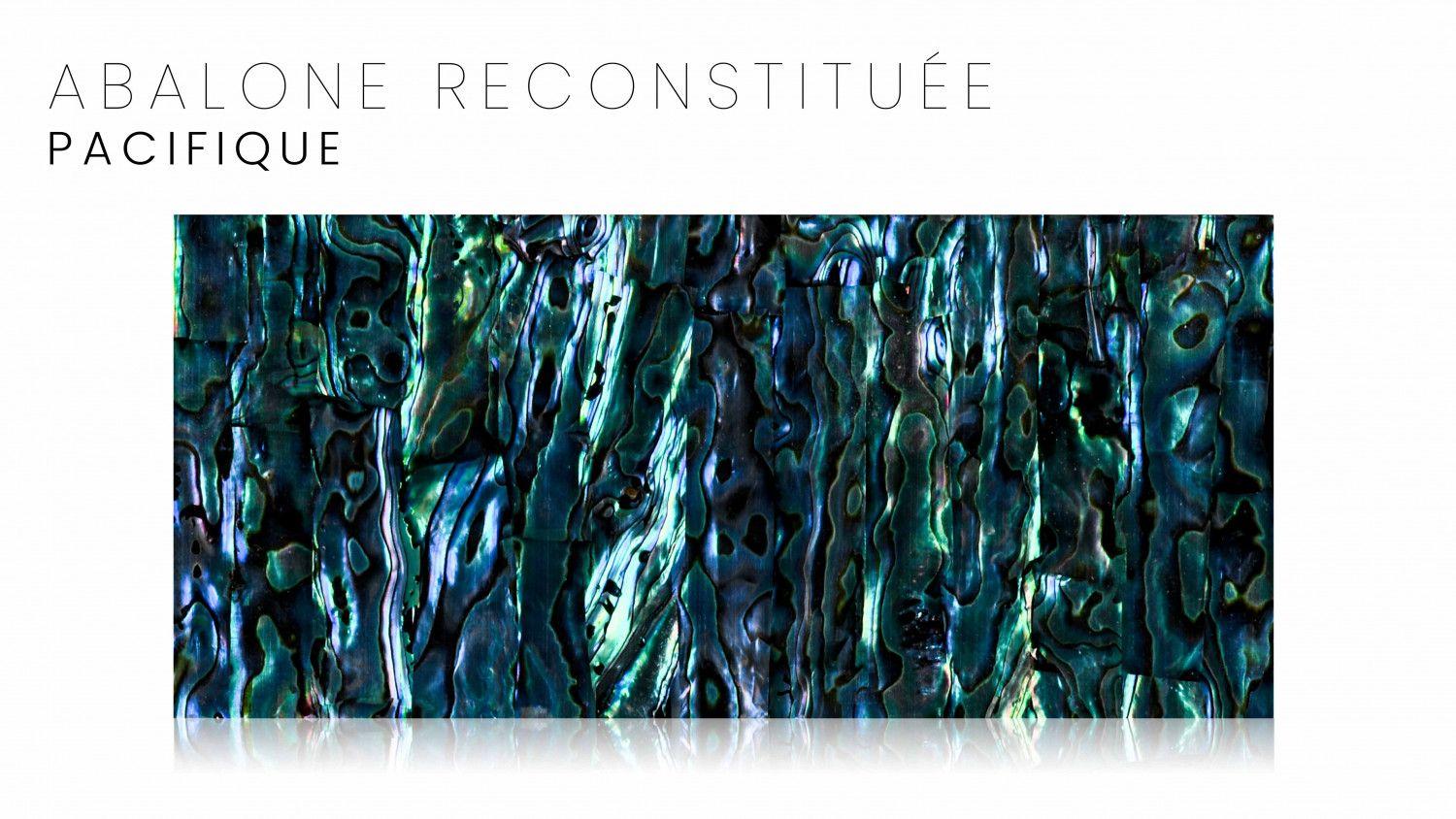 Plaque abalone dimension 240x140x3 mm