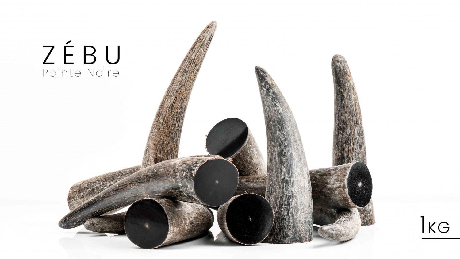 Zebu black tip: a resistant and aesthetic material for your creations ...
