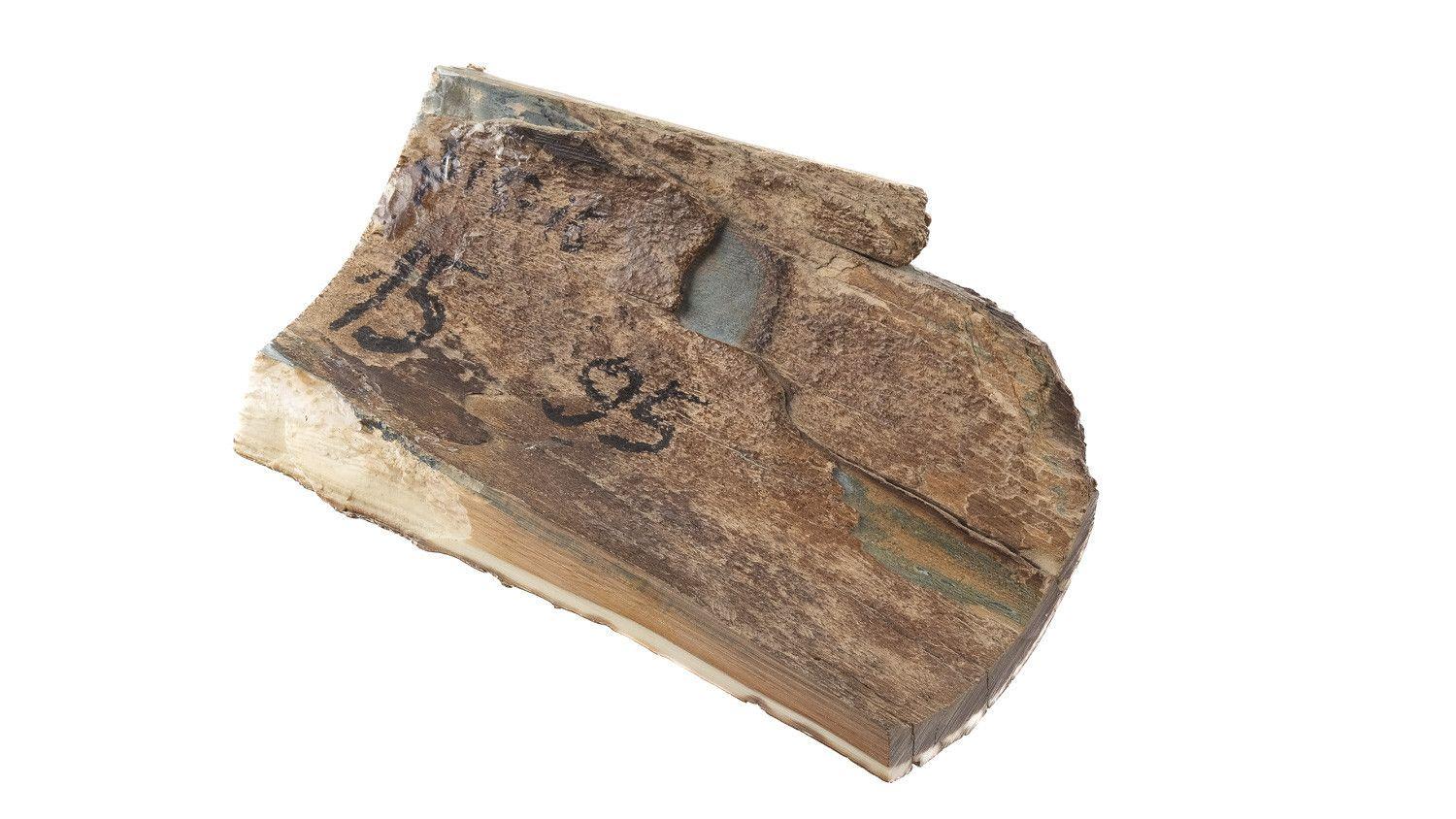 Coque ivoire de mammouth