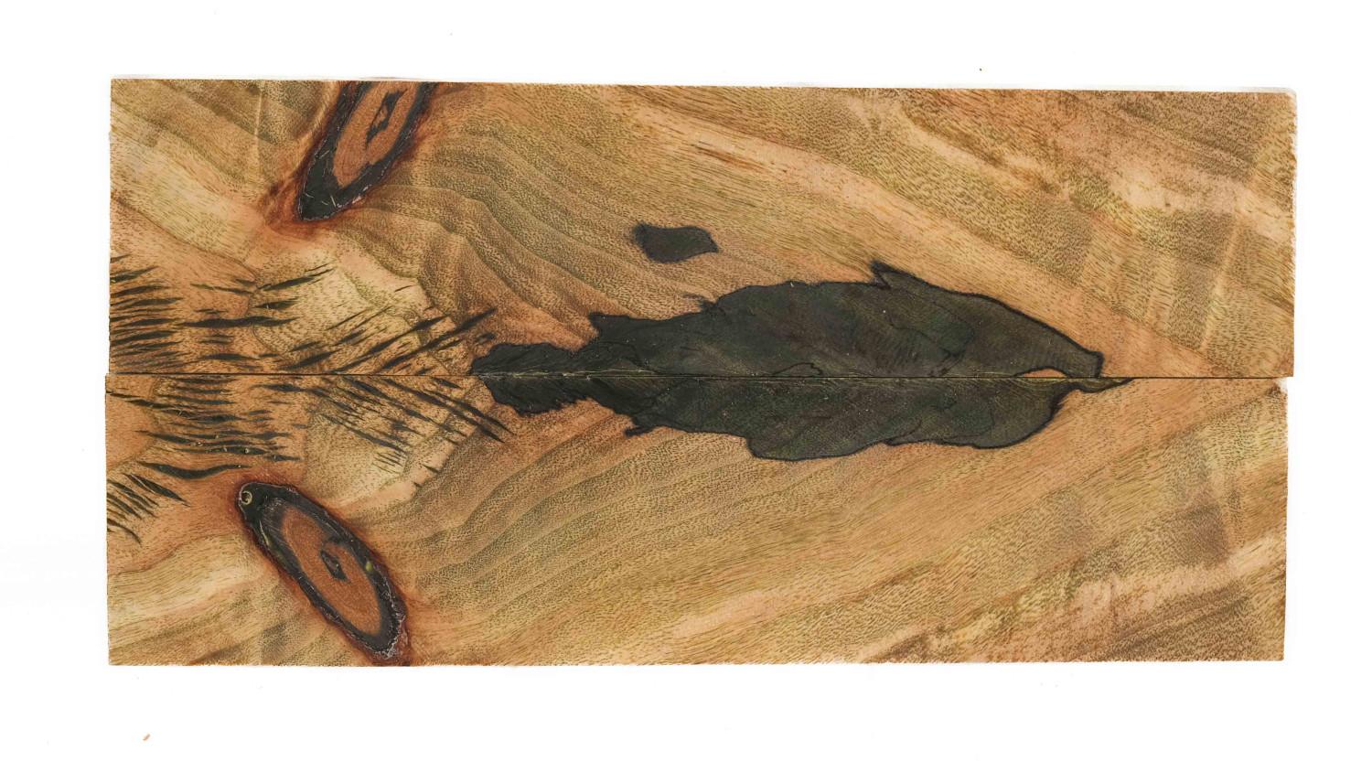 Mango de Nudo de haya estabilizado