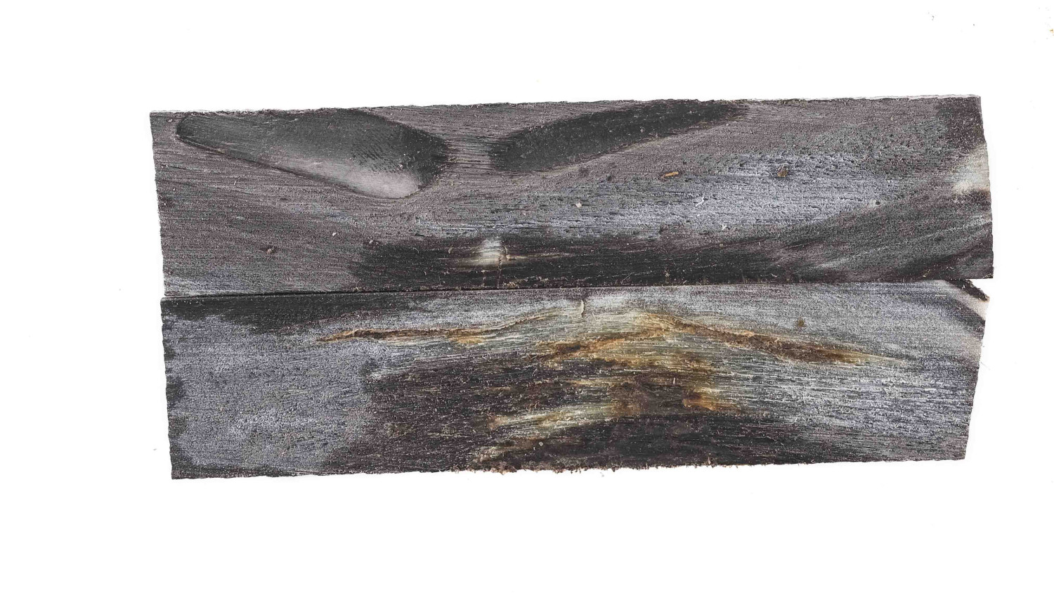 Handle from sheep flattened and trimmed - primitive appearance