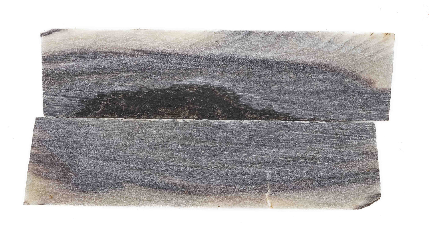 Handle from sheep flattened and trimmed - primitive appearance