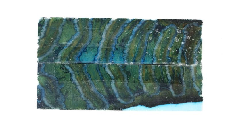 Handle mammoth Molar turquoise stabilised