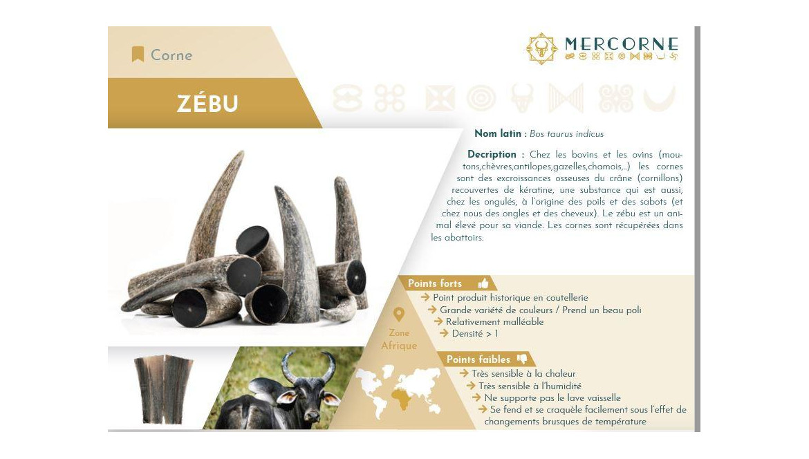 Fiche matériothèque #1 : La corne de zébu - MERCORNE